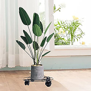 PLAZOTTA 3 Pack 12 Inches Plant Caddy Round Metal Plant Dolly Heavy Duty Plant Stand Plant Holder with Caster Wheels for Indoor and Outdoor Use - Black