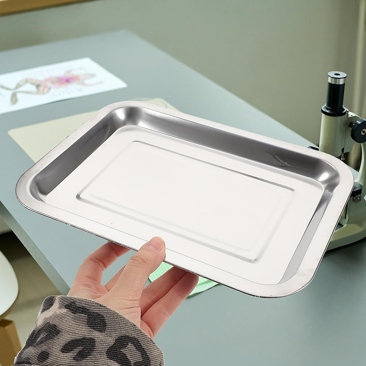 ULTECHNOVO 4pcs Wax Dissecting Tray Stainless Steel Thicken Dissection Pan Biological Equipment for Junior Senior School Laboratory
