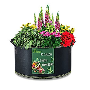 LINERY 1-Pack 50 Gallon Planting Bag Black Heavy Duty Thickened Large Capacity Upgrade Hemming Process Grow Bag with Handles Non-Woven Fabric Plant Pots (【1-50 G】)