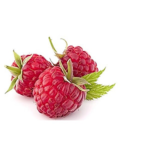 GreenWOW 200+ Red Raspberry Seeds - Non-GMO&Heirloom Organic Friut for Planting Home Garden/Outdoor