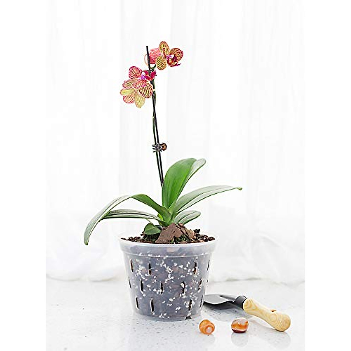 TRUEDAYS Clear Orchid Pots with Holes Plastic Flower Planter 5.5 inch 4 Pack