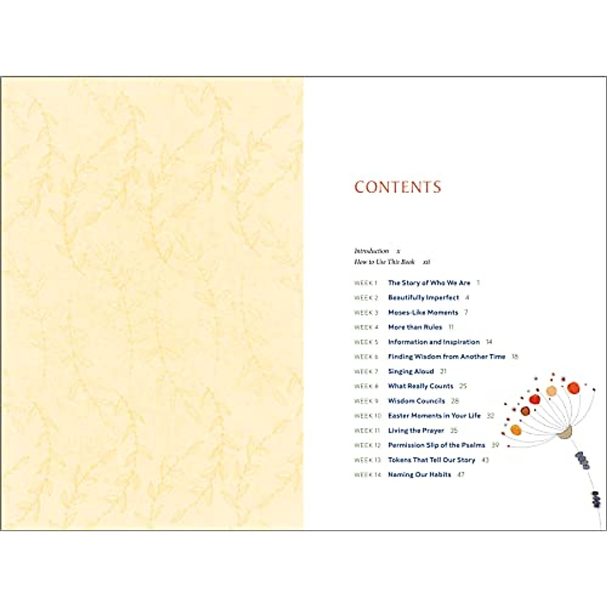 The Bible in 52 Weeks for Families: A Yearlong Bible Study