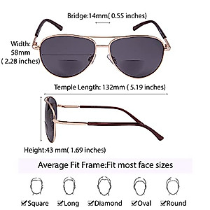 EYEGUARD Unisex Classic Style Bifocal Sunglasses Readers with Lens UV400 Protection Outdoor Reading Glasses for Men and Women