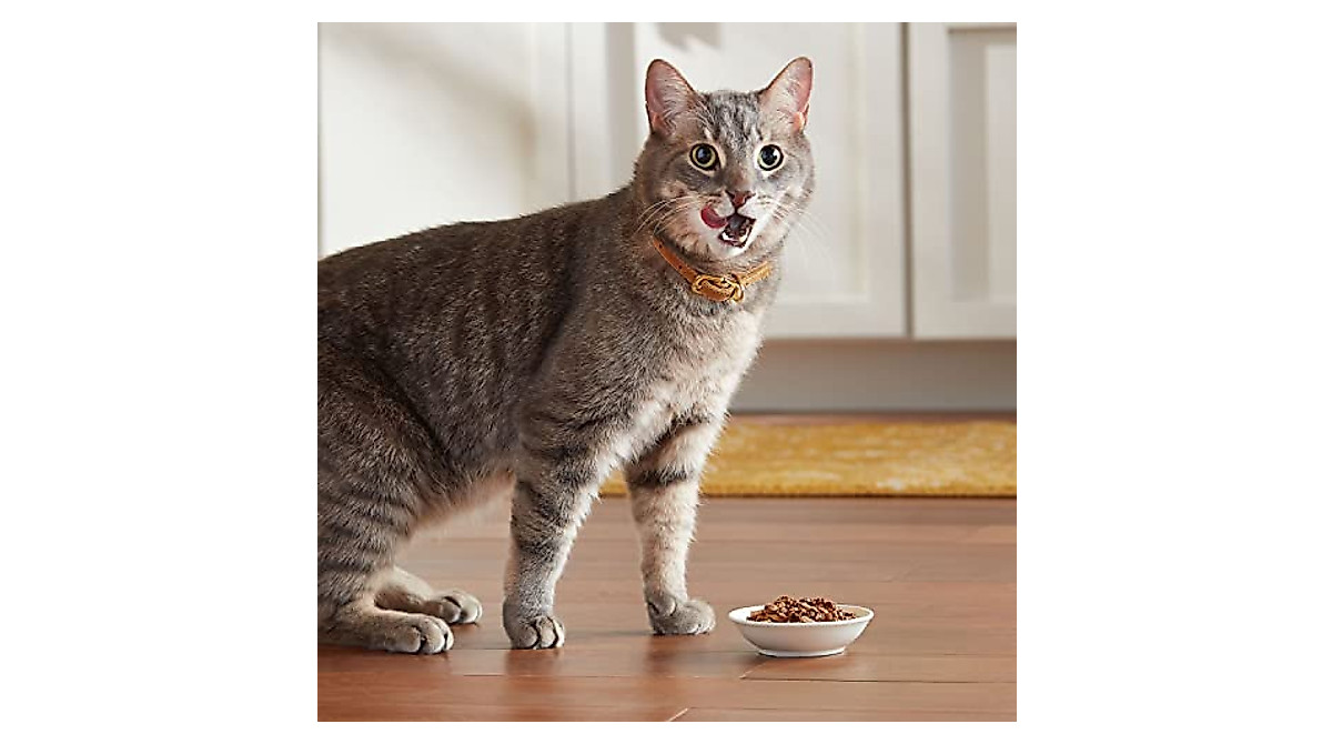 Meow Mix Classic Favorites Wet Cat Food Pack of 48