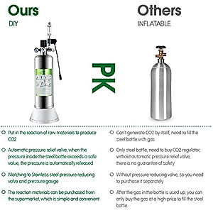 ZRDR CO2 Generator System Carbon Dioxide 2L with Dual Gauge Display Pressure Gauge Automatic Pressure Relief Valve Bubble Counter for Plants Aquarium, Stable Output