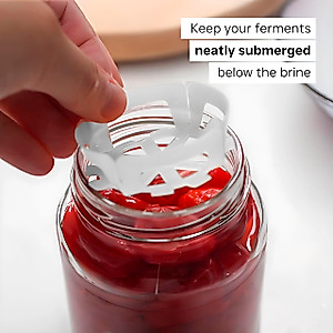 ViscoDisc Canning Buddies - Regular Mouth Mason Jar Inserts