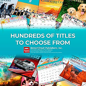 Kittens | 2023 6 x 7.75 Inch Spiral-Bound Wire-O Weekly Engagement Planner Calendar | New Full-Color Image Every Week | BrownTrout | Animals Cats Pets