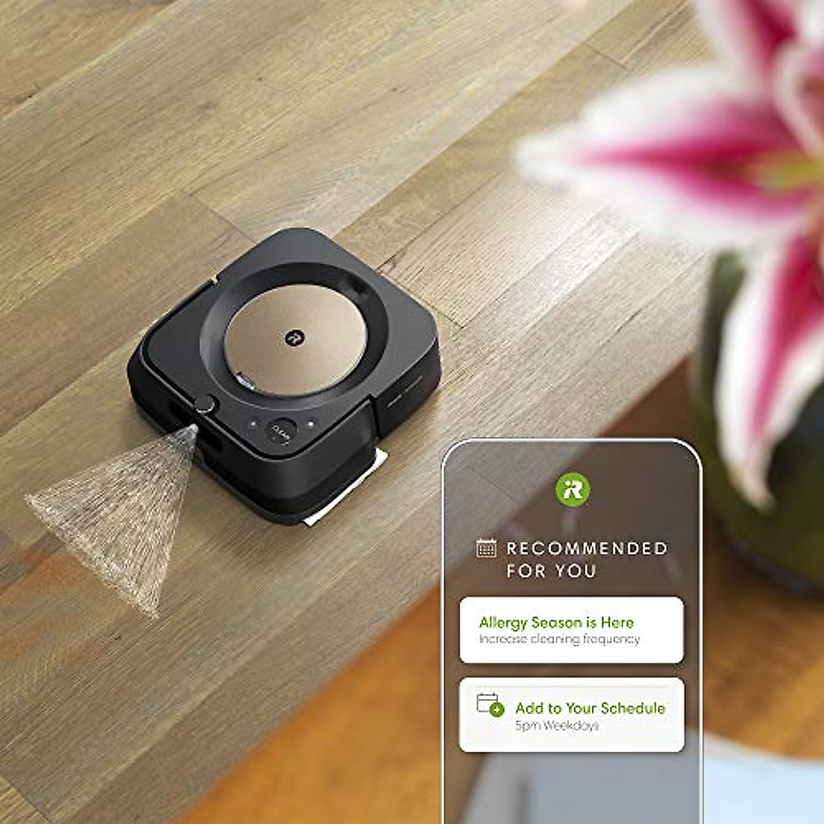 iRobot Roomba s9+ (9550) Robot Vacuum & Braava Jet m6 (6112) Robot Mop Bundle with Free Echo Dot (Gen 3) - Smart Mapping, Powerful Suction, Precision Jet Spray