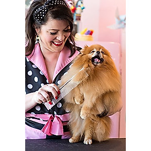 Andis (Pet) 7-1/2-Inch Steel Comb ,Silver