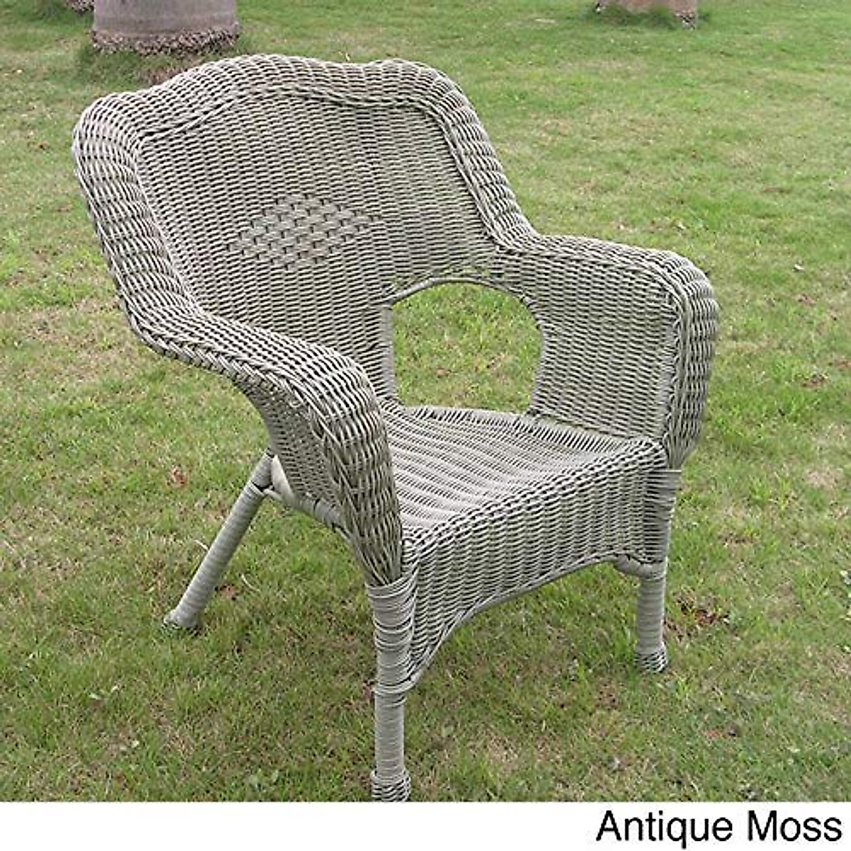 International Caravan Furniture Piece Camelback Resin Wicker Patio Chairs (Set of 2)