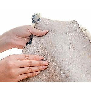 Gracefur Area Rug Tiger and Leopard Skin Printed Decor Rugs Super Soft Real Australia Sheepskin Carpet for Living Room, Bed Room, Sofa and so on 1 pelt (Tiger)