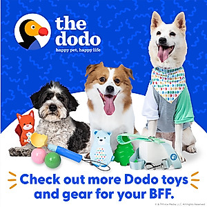 The Dodo All Nylon Yellow Collar and Leash Set - Medium; Matching Cute Leash and Collar Set; Waterproof Dog Leash and Collar Set, Perfect for Beach Day or Trips to The Lake