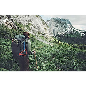 FOREST PILOT Big Ball Head Twisted Style Wooden Walking Stick for Hiking with Compass (Nature Color, 48 Inches, One Piece)