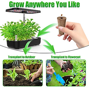 Haovegfloer 30 PCS Grow Sponges, Seed Starter Pods Replacement Root Growth Sponges, Seed Pods Kit for Partly QYO, LYKO, Idoo Hydroponic Garden System(Square