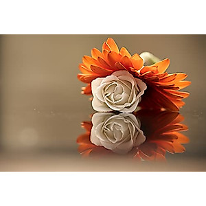 Nikon NIKKOR Z MC 105mm f/2.8 VR S