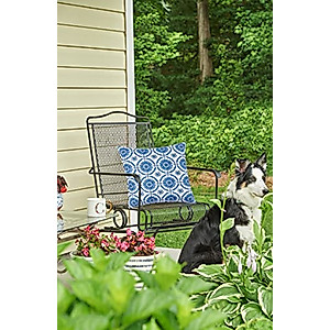 C&F Home Colonial Williamsburg Delft Garden Blue & White Geometric Premium Indoor/Outdoor Pillow Decor Decoration Accent Throw Pillow 18" x 18" Blue