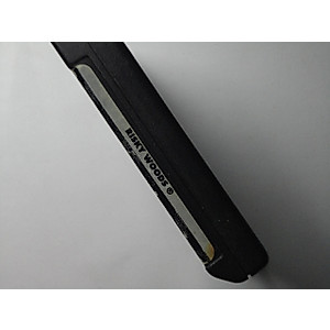 Risky Woods - Sega Genesis