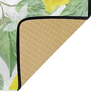 Lemon Kitchen Rug Fruits Runner Rug, Door Mat Bath Rug Home Decor Floor Mat Non-Slip Carpet for Kitchen Living Bedroom 39 x 20 Inch