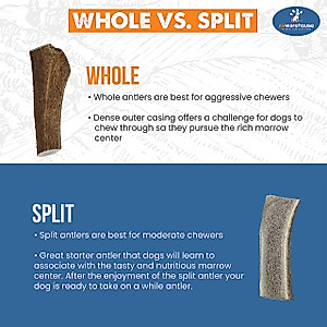 K9warehouse Split Antler for Dogs - Natural Dog Antlers for Aggressive Chewers - USA Sourced Elk Antlers for Dogs Small, Medium, Large - Healthy Elk Antlers for Teeth Cleaning & Chewing Pleasure