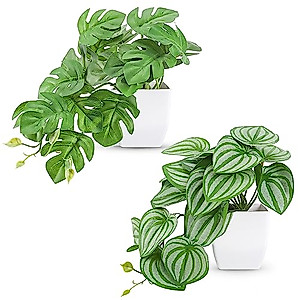 Der Rose 2 Packs Fake Plants Small Artificial Plants for Home Bathroom Office Desk Accessories Living Room Decor Indoor