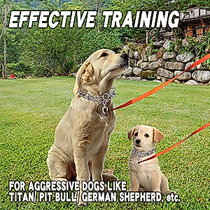 Aheasoun Prong Collar for Dogs, Choke Collar for Dogs, Pinch Collar for Large Medium and Small Dogs, Stainless Steel Adjustable with Comfort Rubber Tips, Safe and Effective (Large, 4.0mm, 23.6-Inch)