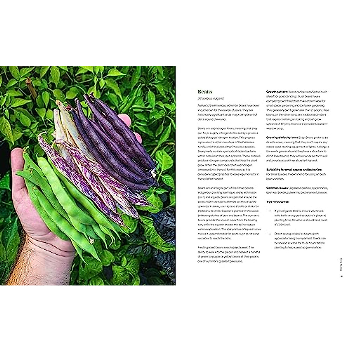 Seed to Table: A Seasonal Guide to Organically Growing, Cooking, and Preserving Food at Home (Kitchen Garden, Urban Gardening)