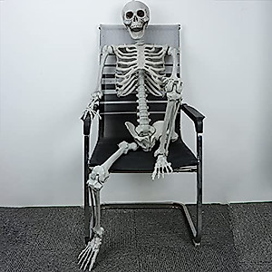 5.4ft/165cm Halloween Skeleton - Halloween Human Skeletons Full Body Bones with Movable Joints for Halloween Props Spooky Party Decoration