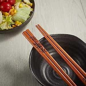 Chopstick Reusable Chinese Panda Chopsticks with Holder and Carrying Bag Chinese Traditional Stylish Set（2 Pairs）