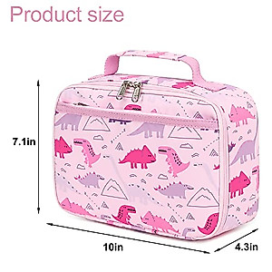 Kids Lunch Box Boys Girls Insulated Lunch Cooler Bag Reusable Lunch Tote Kit for School Travel Dinosaur Pink