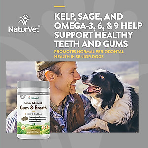 NaturVet Senior Advanced Gum & Breath Dog Supplement – Includes Peppermint, Parsley Leaf to Help Promote Periodontal Health, Fresh Breath for Dogs – 45 Ct. Soft Chews