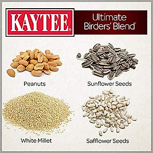 Kaytee Wild Bird Ultimate Birder's Blend Food Seed For Grosbeaks, Cardinals, Nuthatches, Woodpeckers & Other Wild Birds, 10 Pound