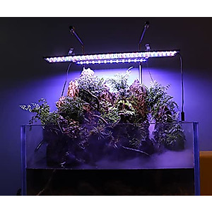 hygger Advanced Full Spectrum LED Aquarium Light with Timer 24/7 Lighting Cycle, Customize Mode 7 Colors 5 Intensity Planted Tank Light for 55~75 Gallon Fish Tank