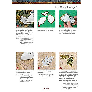 Seasonal Silhouettes: 12 Inspirational Quilt Blocks Featuring Raw Edge Applique (Landauer) Gorgeous Designs & Full-Size Patterns for Every Month of the Year, from Edyta Sitar of Laundry Basket Quilts