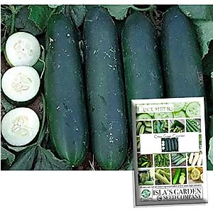 "Crispy Green" Cucumber Seeds for Planting, 25+ Seeds Per Packet, (Isla's Garden Seeds), Non GMO & Heirloom Seeds, Botanical Name: Cucumis sativus, Great Home Garden Gift
