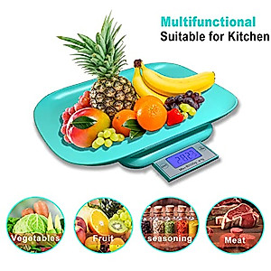 Flyvyan Digital Pet Scale, Puppy Scale for Whelping, Kitten Scale with Foldable LED Display, Small Animal Scale for Dog/Cat/Rabbit/Hamster, Kitchen Scale with Removable Tray (Robin Egg Blue)