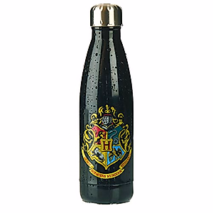 Paladone AMZ7490HP Hogwarts Metal Water Bottle-Officially Licensed Harry Potter Merchandise, Aluminium