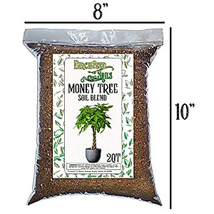 Money Tree Soil Blend All Natural Soil Mixture Formulated for Repotting and Planting Money Tree Plants 2 Quart Sized Bag