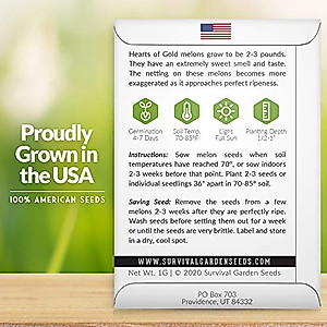 Survival Garden Seeds - Hearts of Gold Melon Seed for Planting - Packet with Instructions to Plant and Grow Sugar Sweet Cantaloupe Fruit in Your Home Vegetable Garden - Non-GMO Heirloom Variety