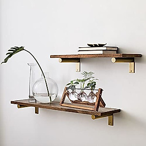 Kingbuy Plant Propagation Stations Terrarium Glass Desktop Planter with Retro Wooden Stand 3 Bulb Vases for Hydroponics Indoor Office Desk Home Decor, Plant Holder Lover Gifts for Women