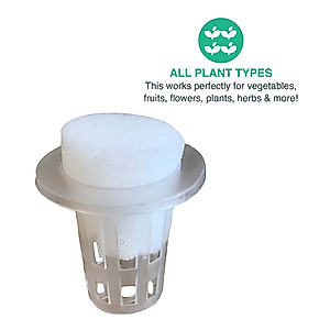 Crucial Replacement Clone Kit for AeroGarden - 14 Baskets, 42 sponges - Fits All AeroGardens with Bubbler Aeration - Bulk Pack of 56.