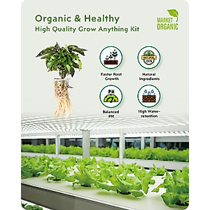 URUQ 140Pcs Hydroponic Pods Supplies: Grow Anything Kit with 35 Grow Sponges, 35 Grow Baskets, 35 Grow Domes, 35 Pod Labels - Compatible with Hydroponics Growing System Indoor Garden from Most Brands