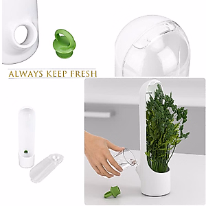Cilantro Containers For Refrigerator，herb Saver，herb Keeper，glass Storage Containers Vegetable Storage Containers For Refrigerator Keeps Greens Fresh For 2-3 Weeks