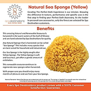 Natural Sea Sponge 6-7" by Spa Destinations "Creating The At-Home Spa Experience"