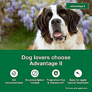 Advantage II XL Dog Vet-Recommended Flea Treatment & Prevention | Dogs Over 55 lbs. | 6-Month Supply