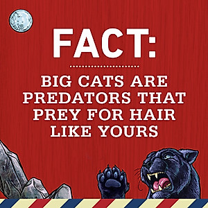 Old Spice Nightpanther Shampoo for Men, 13.5 fl oz