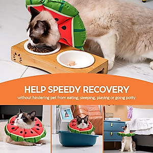 Avont Cat Cone Collar Soft, Adjustable Recovery E Collar Alternative for Cats Kittens Puppies, Elizabethan Neck Cone of Shame to Prevent Licking Biting After Surgery Protect Wounds -Melon(L)