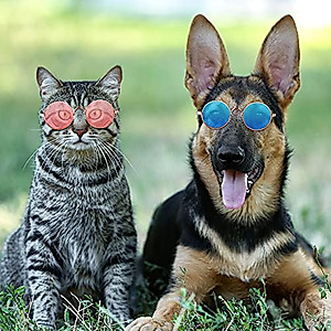 15 Pieces Small Pet Sunglasses Retro Dog Sunglasses Round Metal Puppy Sunglasses Cosplay Glasses Photo Props Eyewear for Cats and Small to Medium Sized Dogs