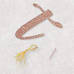 KakaSwa Just Married Banner, Wedding Party / Birdal Shower / Engagement Party Decorations, Hanging Banner for Wedding Party, Theme Party Supplies - Rose Gold