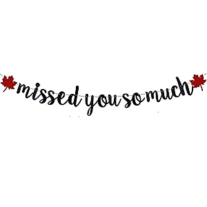 QWLQIAO We Will Miss You Banner Decorations Missed You So Much Banner, Black Glitter Welcome Back Sign Family Party Supplies ,Deployment Returning Military Army Homecoming Party