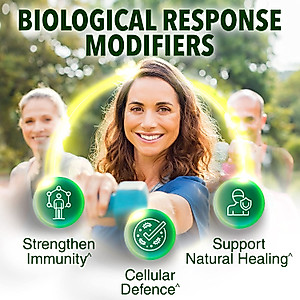 LABO Nutrition Bioactive Organic BRM - Advanced Immune Support & Maintain Natural Killer Cell Activity; 6 Therapeutic Mushrooms Lingzhi, Yunzhi, Maitake, Shiitake, Agaricus Blazei Murill & Cordyceps